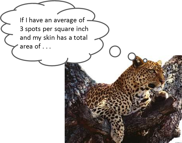 Cheetah Math - Practice Problems
