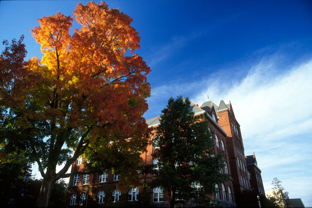 Digital Perspective Control Example