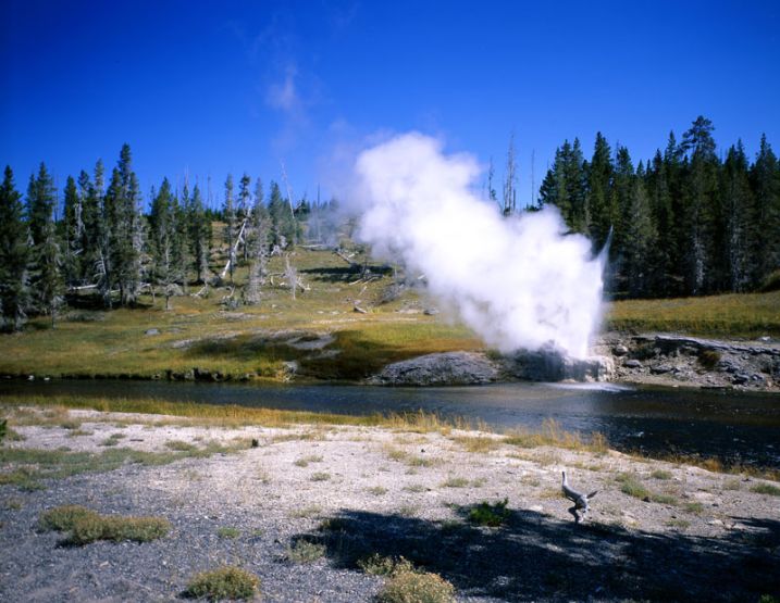 Riverside Geyser | album |Image 42 of 59
