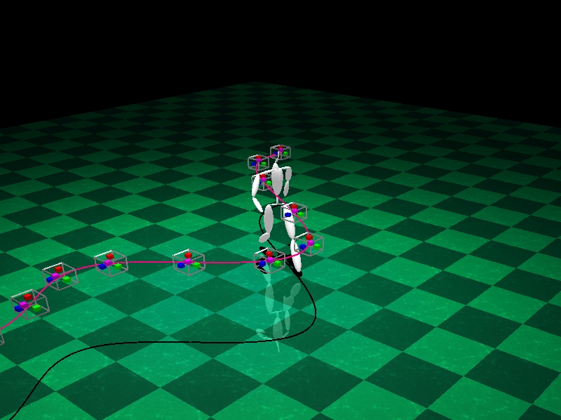 Motion Capture