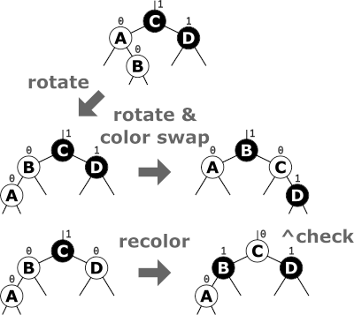 Red Black Tree Rotation